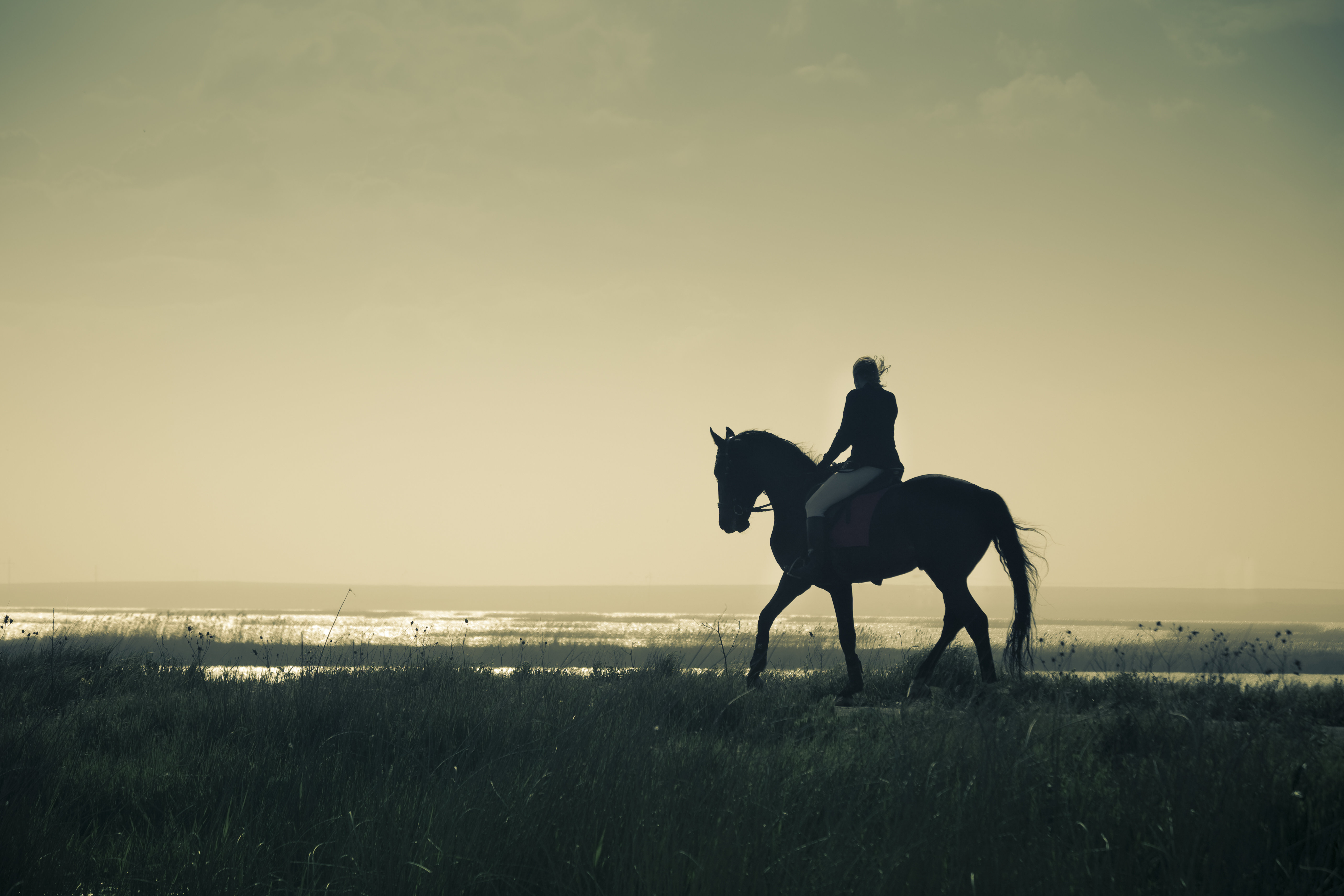 Union Rustic Rider Silhouette on Horseback / Split Toned - Wrapped Canvas Photograph | Wayfair